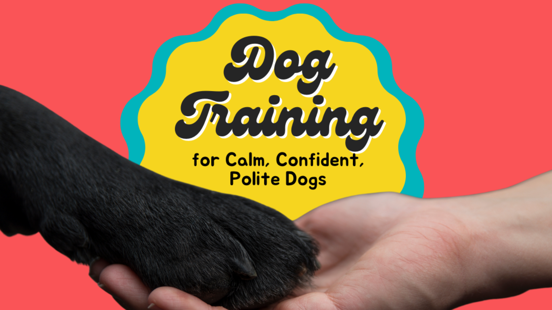 Train your dog with love & positivity together with Paw Nation BGC